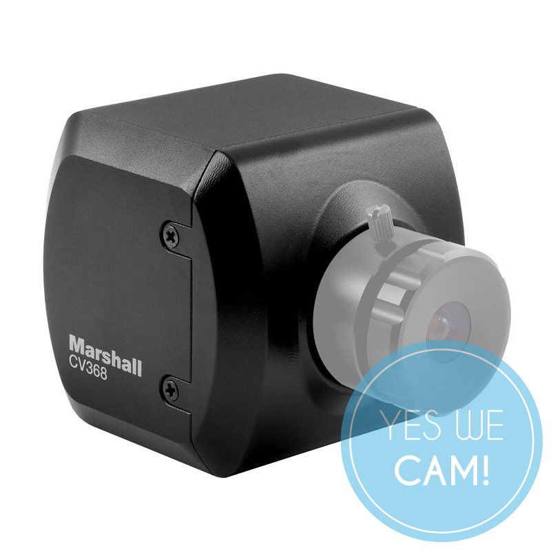 Marshall CV368 | 0% Leasing und Finanzierung| TONEART-Shop