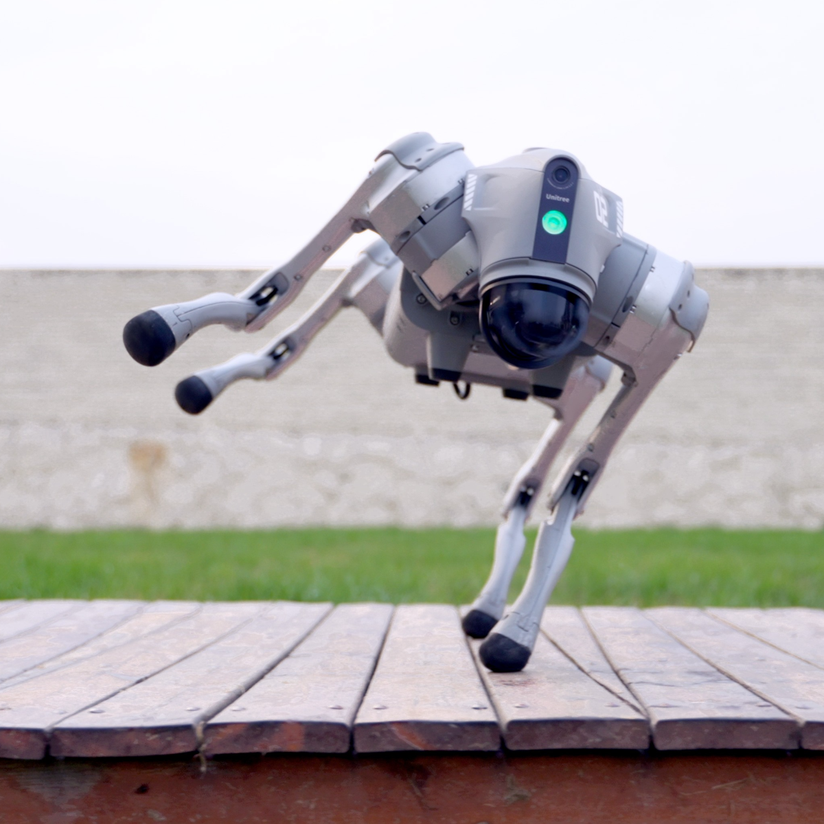 Unitree Go2 Servo Robotic Arm D1 Roboterarm – 0% Leasing