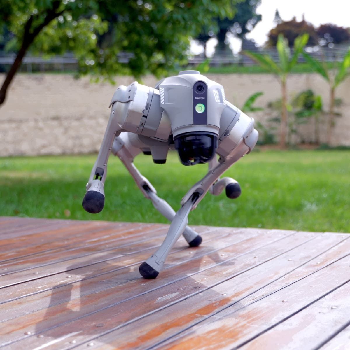 Unitree Go 2 Pro – Präzision, die sich bewegt