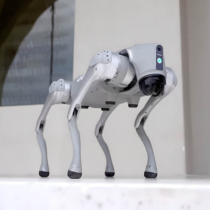 Unitree Go2 Pro – Robot Dog der neuen Generation | TONEART