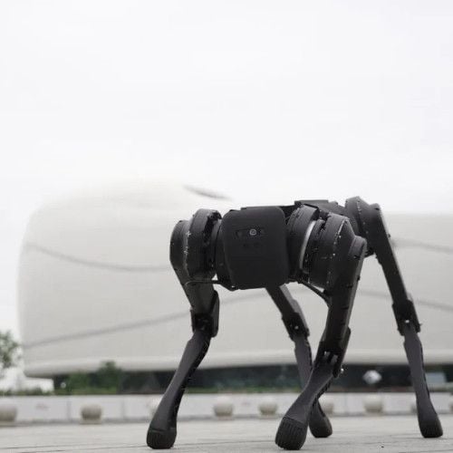 Unitree B1 Robot Dog | 0 % Leasing & Finanzierung | TONEART-Shop